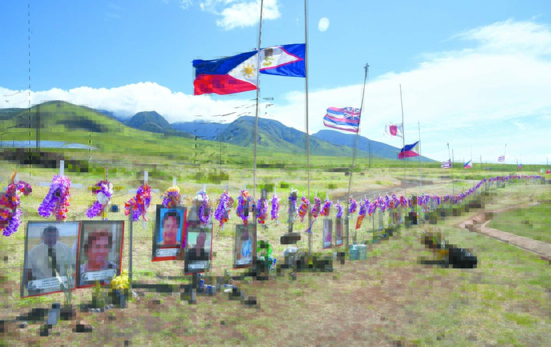 Maui to mark one year after the wildfires with community-driven special ...